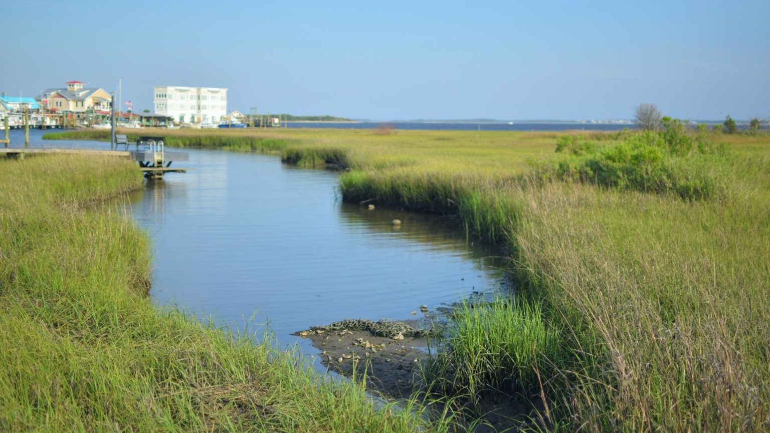 TV Shows & Movies Filmed in Southport NC - Salt & Sand Realty