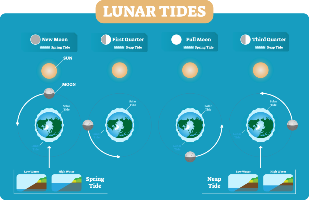 Oak Island Tides & Beach Safety [With 7-Day Tide Chart]